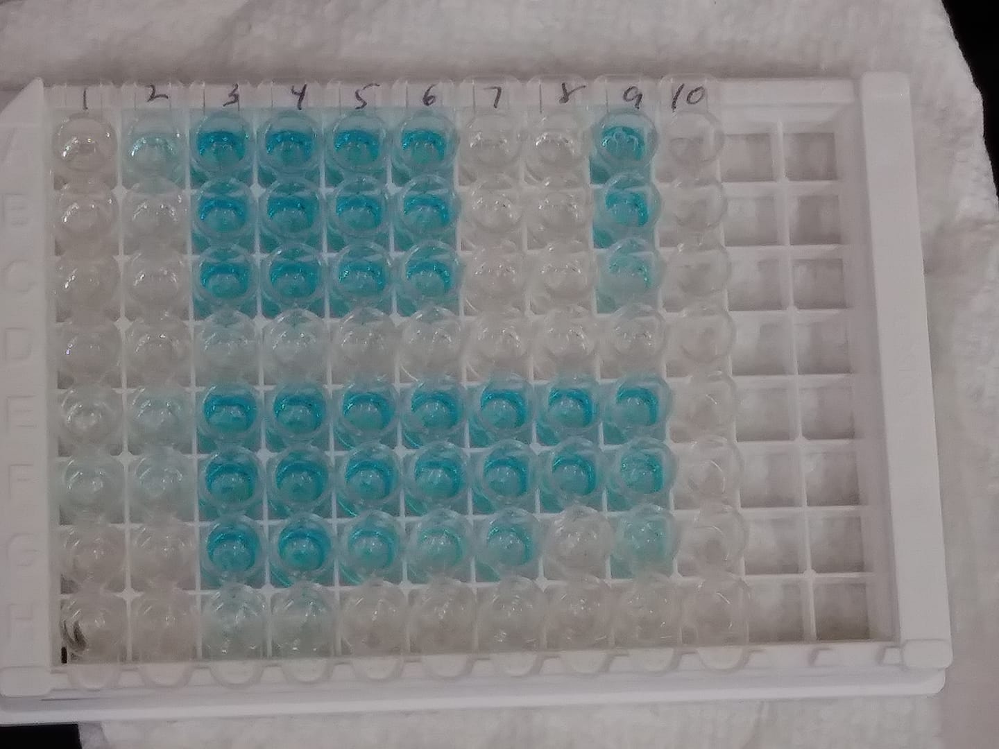 2018 Photos – Ignite Science